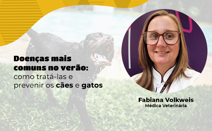 Doenças mais comuns no verão: como tratá-las e prevenir os cães e gato ...
